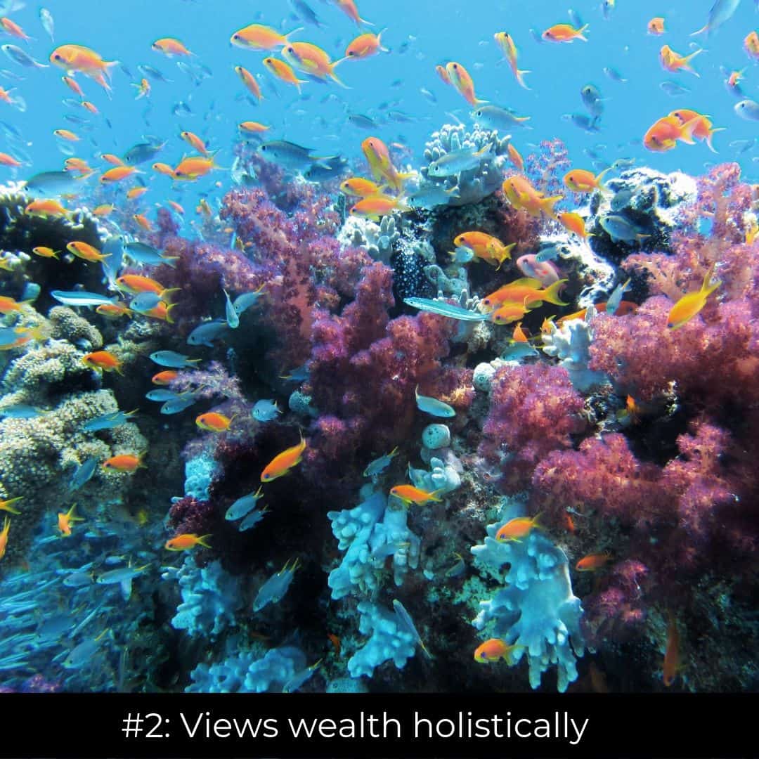 Regenerative Economics 101 - Natural Capitalism Solutions