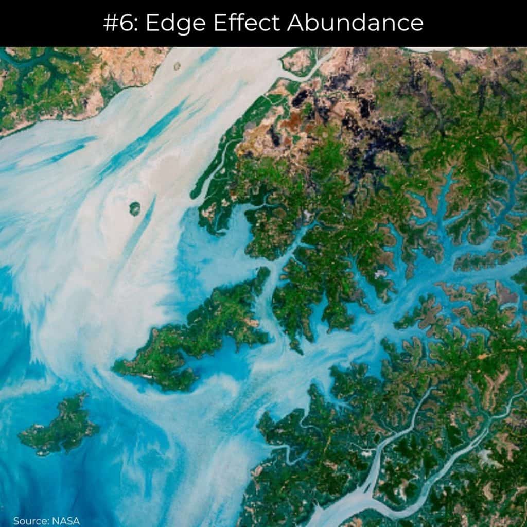 Regenerative Economics 101 - Natural Capitalism Solutions